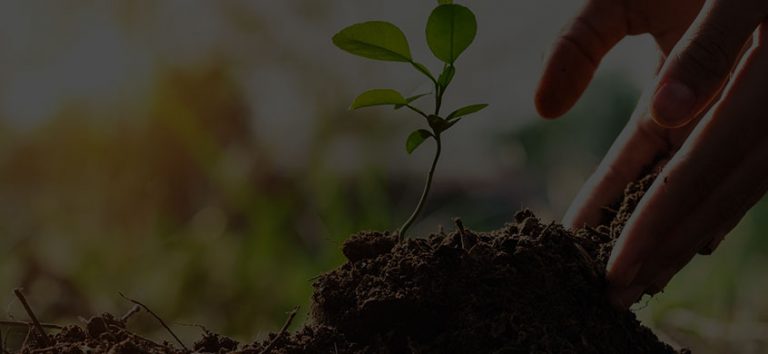 Home Hardeol - Alone